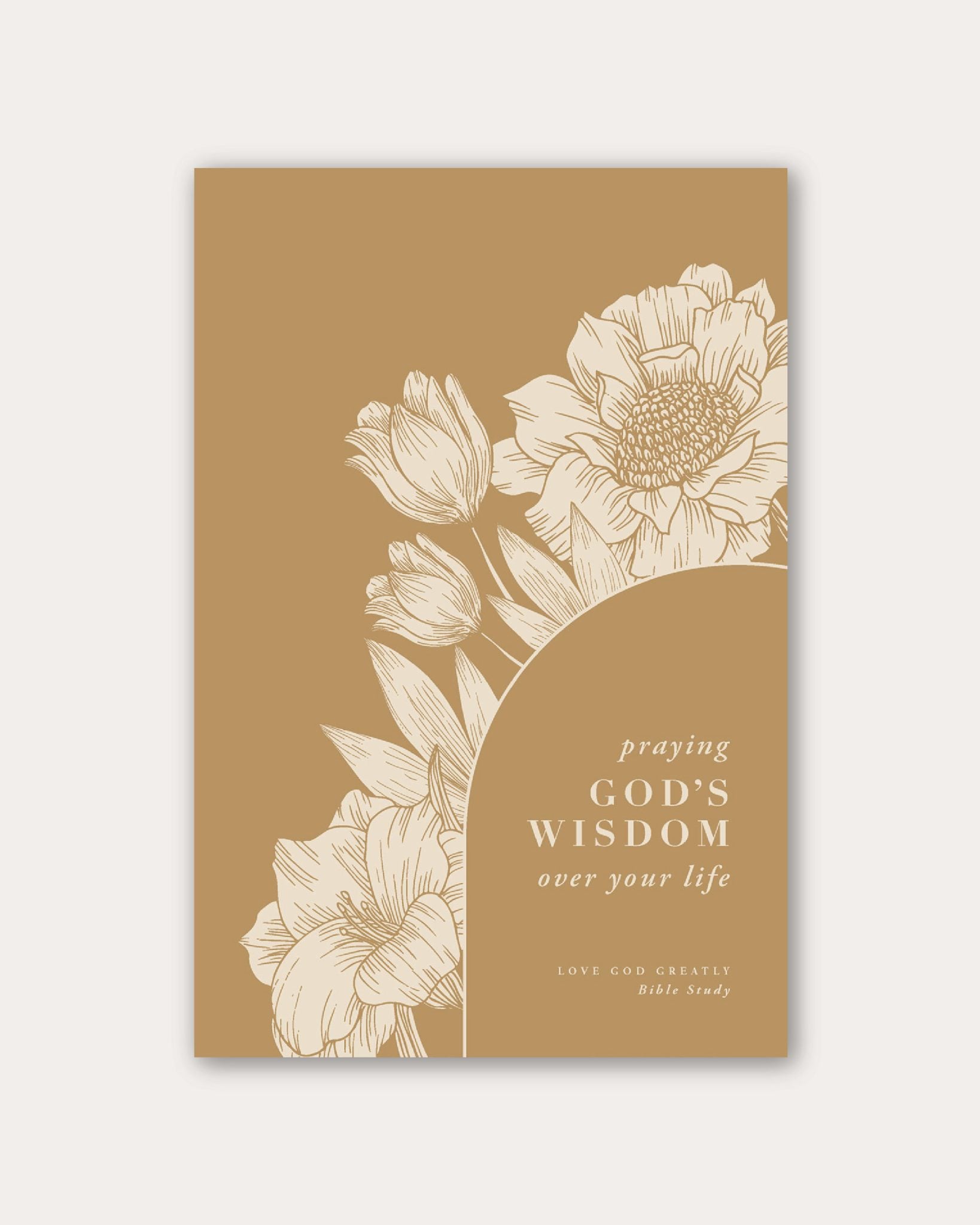 Forgiveness As God Sees It - Love God Greatly